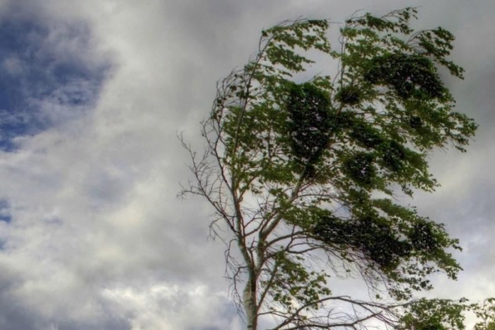 Külək güclənəcək - Xəbərdarlıq | Hafta.az